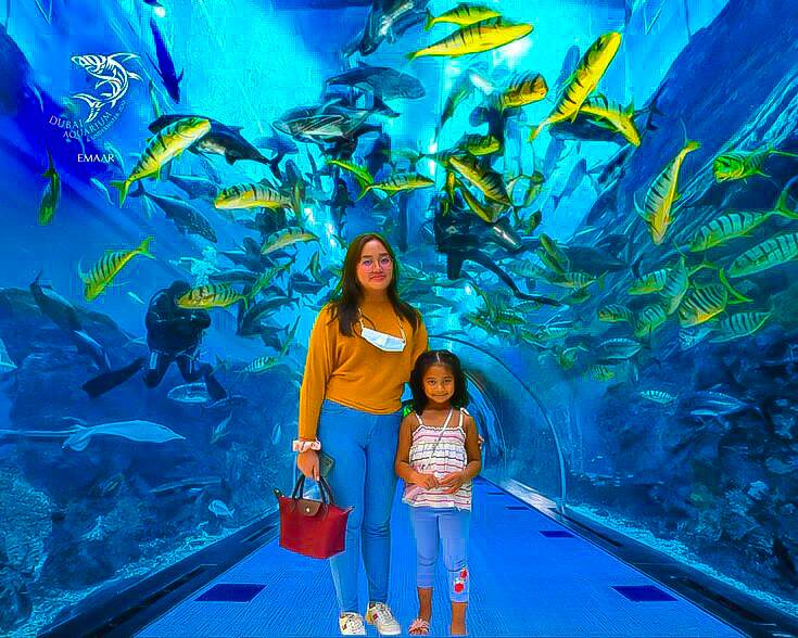 Dubai Aquarium & Underwater Zoo with Penguin Cove Tickets